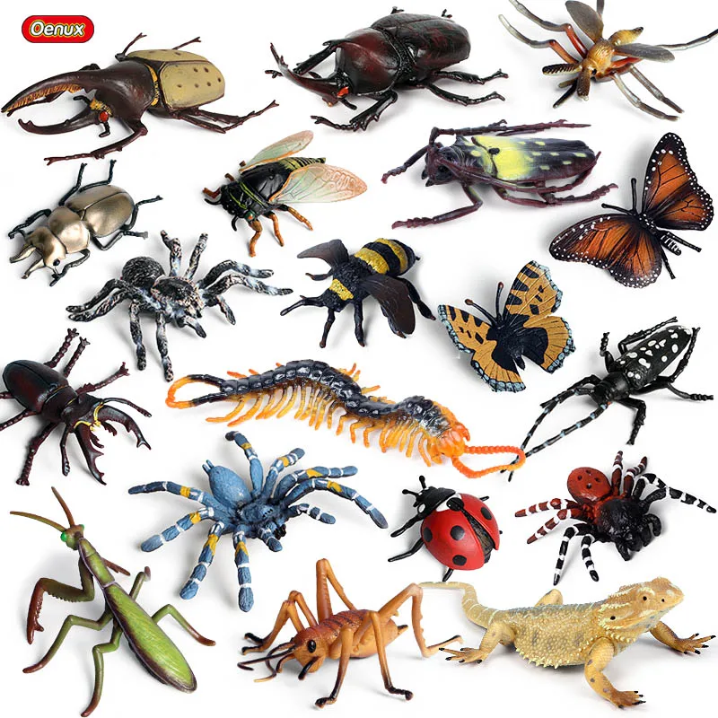 Купить Экшн и фигурки для фигурок | Oenux Insect Animals Model ...
