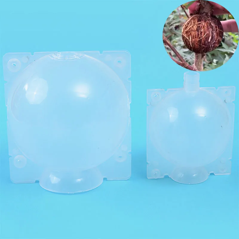 Купить Садовые товары | 5/8/12cm Plant Rooting Ball Grafting Rooting ...